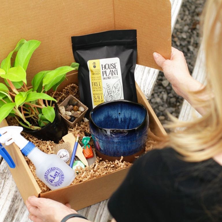 The Best Plant Subscription Boxes - Tested by Bob Vila