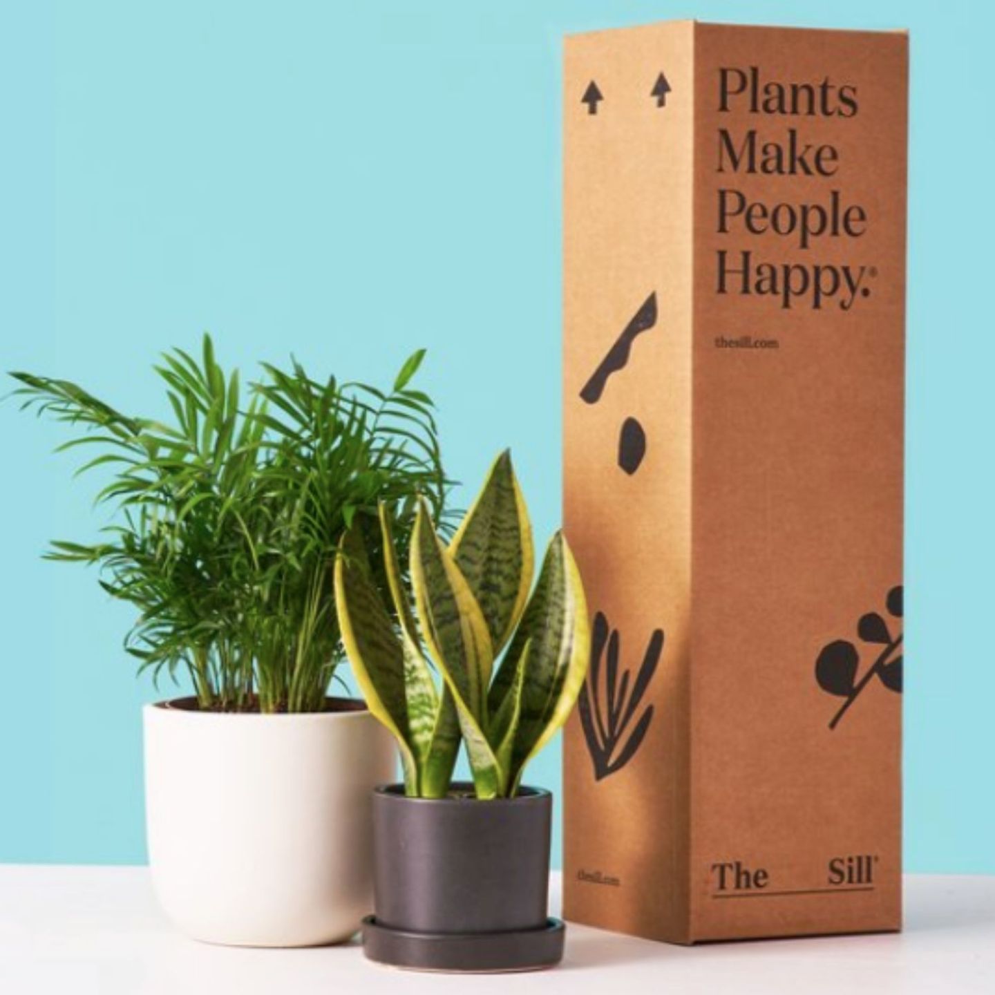 The Best Plant Subscription Boxes - Tested by Bob Vila