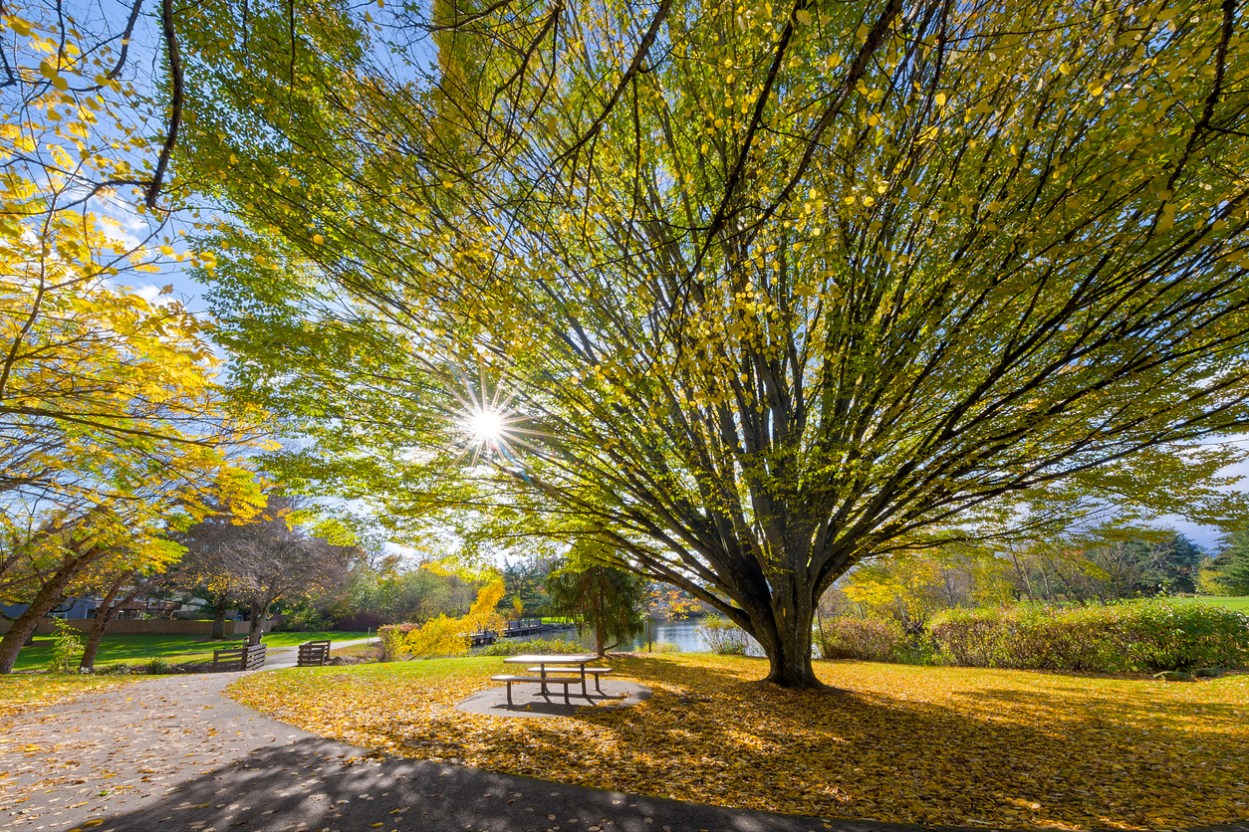 Relocating? 10 Factors to Consider as You Choose a New Place to Live ...