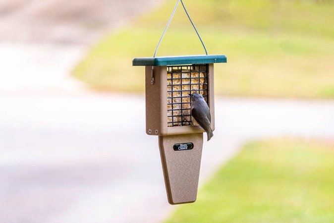 The Best Bird Feeders - Tested by Bob Vila