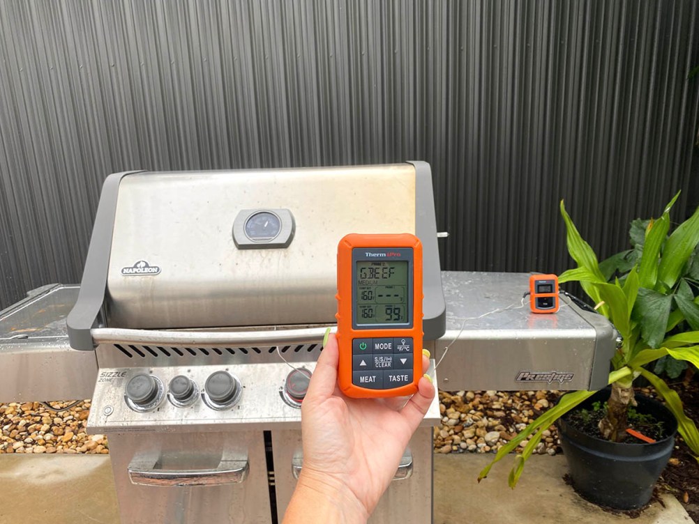 ThermoPro TP20 Thermometer Review: Is It Worth It? - Tested by Bob Vila