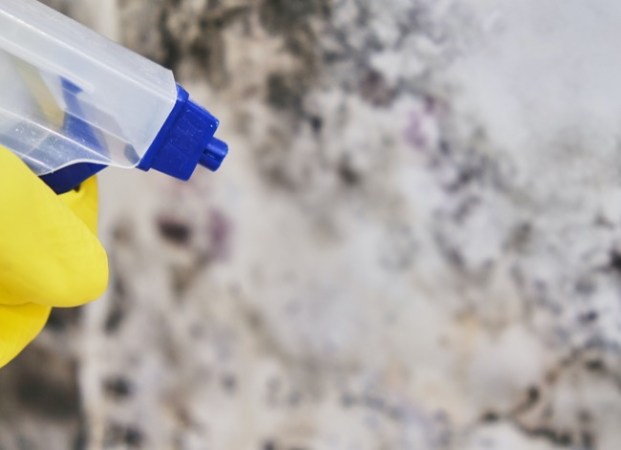 How To Get Rid of Mold In Basement - Bob Vila
