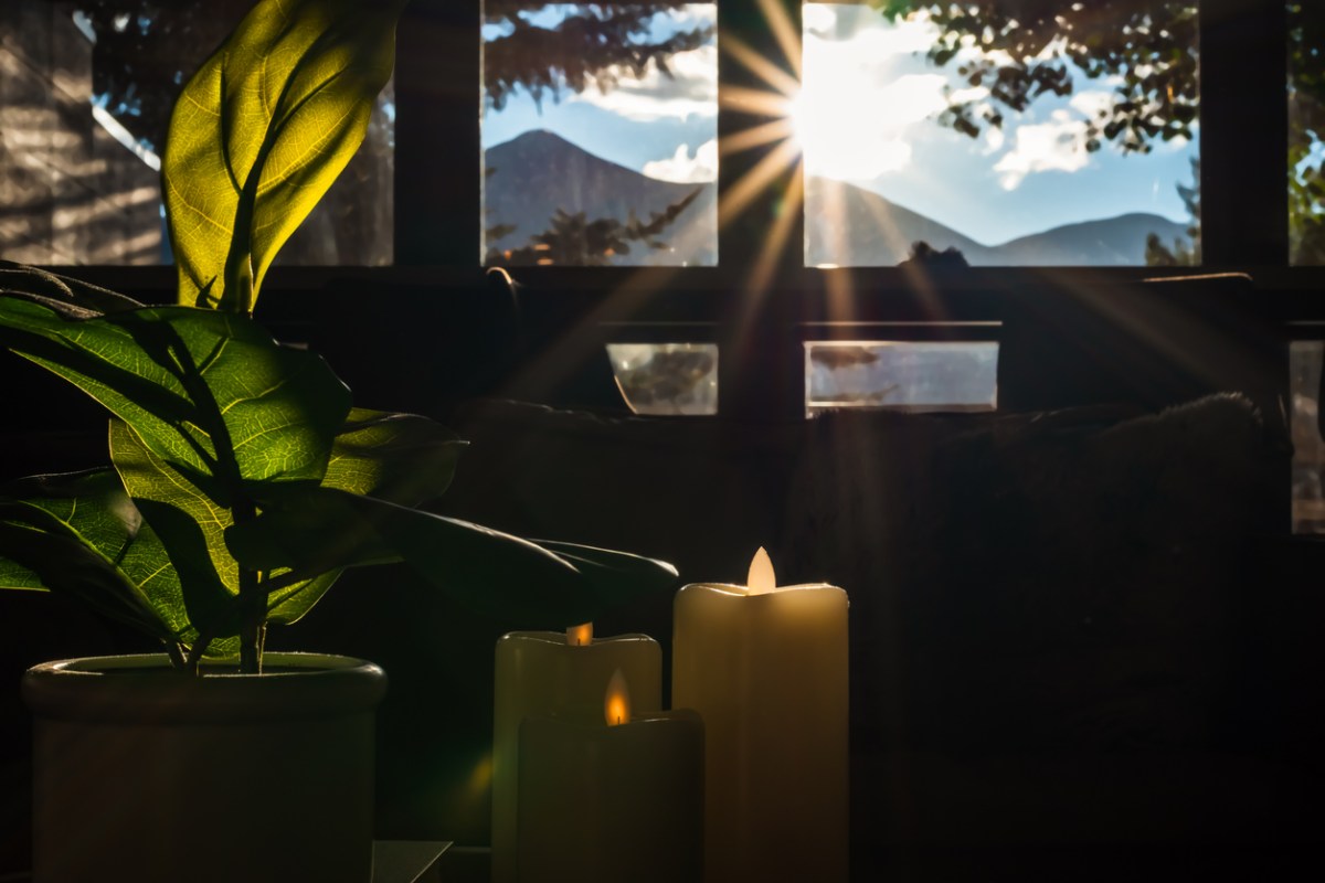 What is "Bright, Indirect Light"? - Advice From Bob Vila