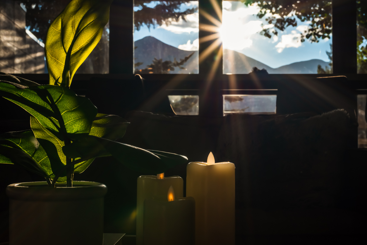 What is "Bright, Indirect Light"? - Advice From Bob Vila