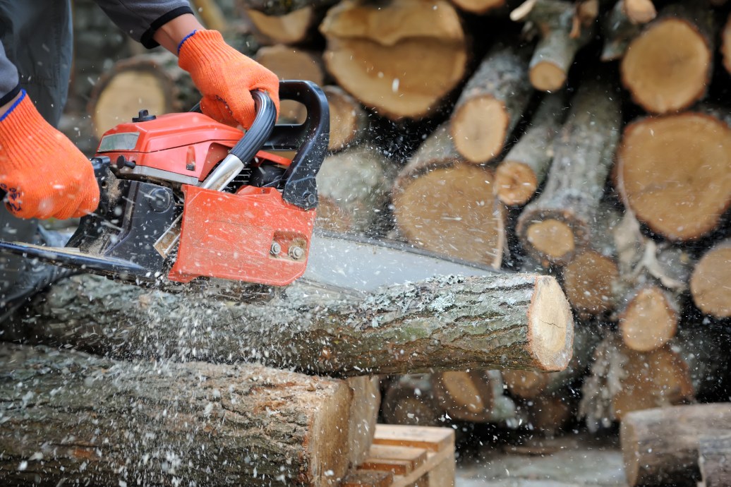 The Best Portable Sawmills of 2024 - Picks from Bob Vila