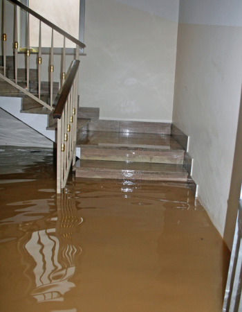 Flooded Basement Cleanup: Who to Hire and Steps to Take - Bob Vila