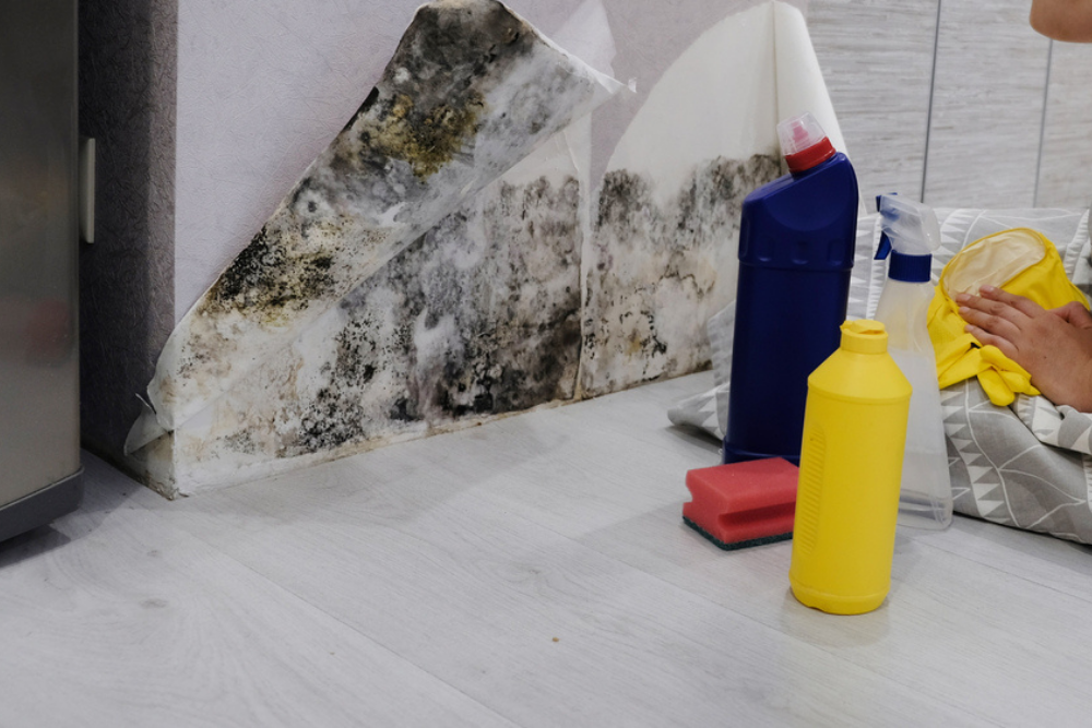Flooded Basement Cleanup: Who to Hire and Steps to Take - Bob Vila
