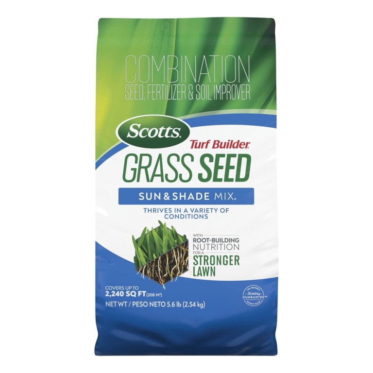 6 Best Grass Seed Options for the Northeast (Homeowner's Guide)