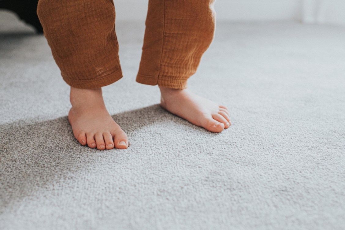 Carpet vs. Hardwood Flooring: Which Is the Better Option?