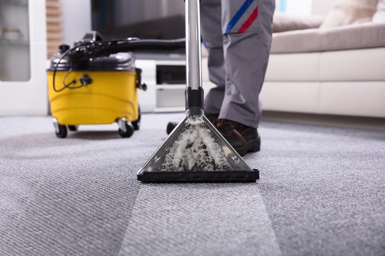 The Best Carpet Cleaning Companies, Vetted - Bob Vila
