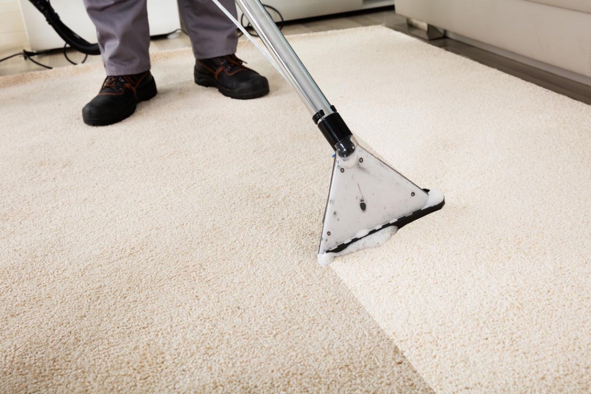 The Best Carpet Cleaning Companies, Vetted - Bob Vila