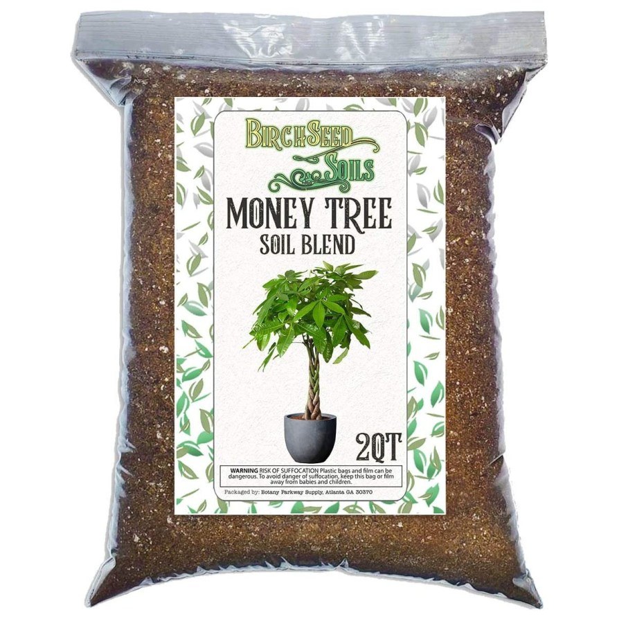 The Best Soil for Money Trees - Picks from Bob Vila