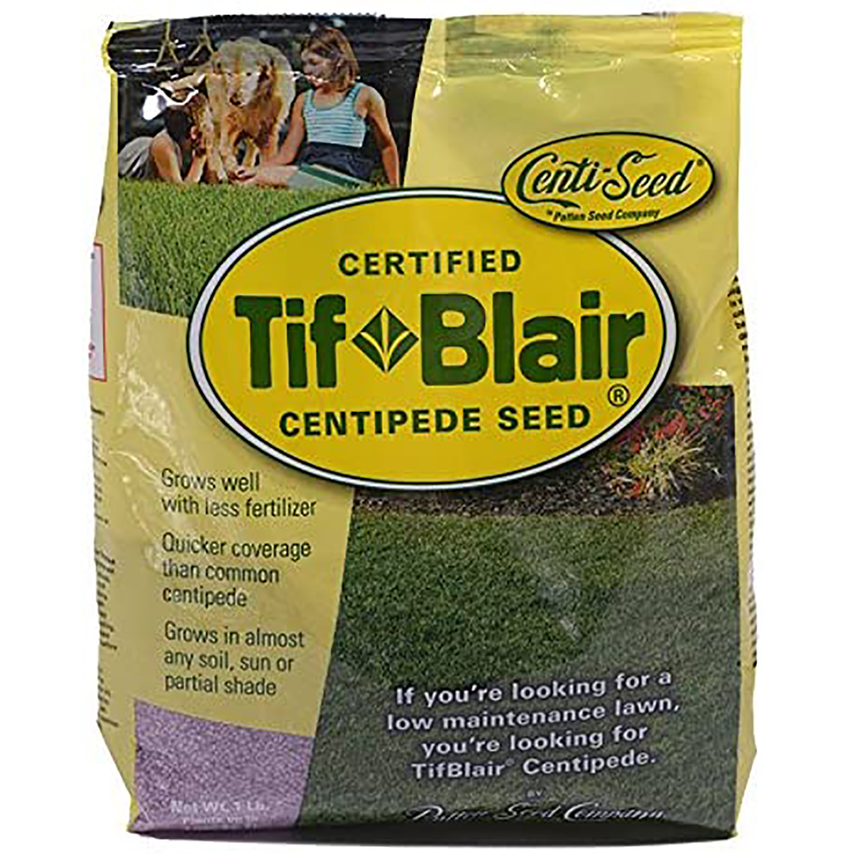 The Best Grass Seed for Florida - Reviewed by Bob Vila