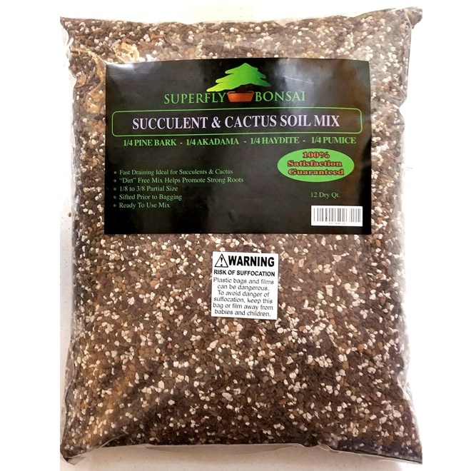 The Best Soil for Fiddle Leaf Figs - Picks from Bob Vila