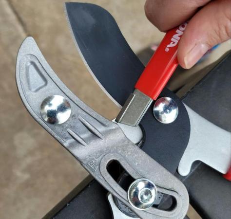 How to Sharpen Loppers: Step-by-Step Guide With Photos