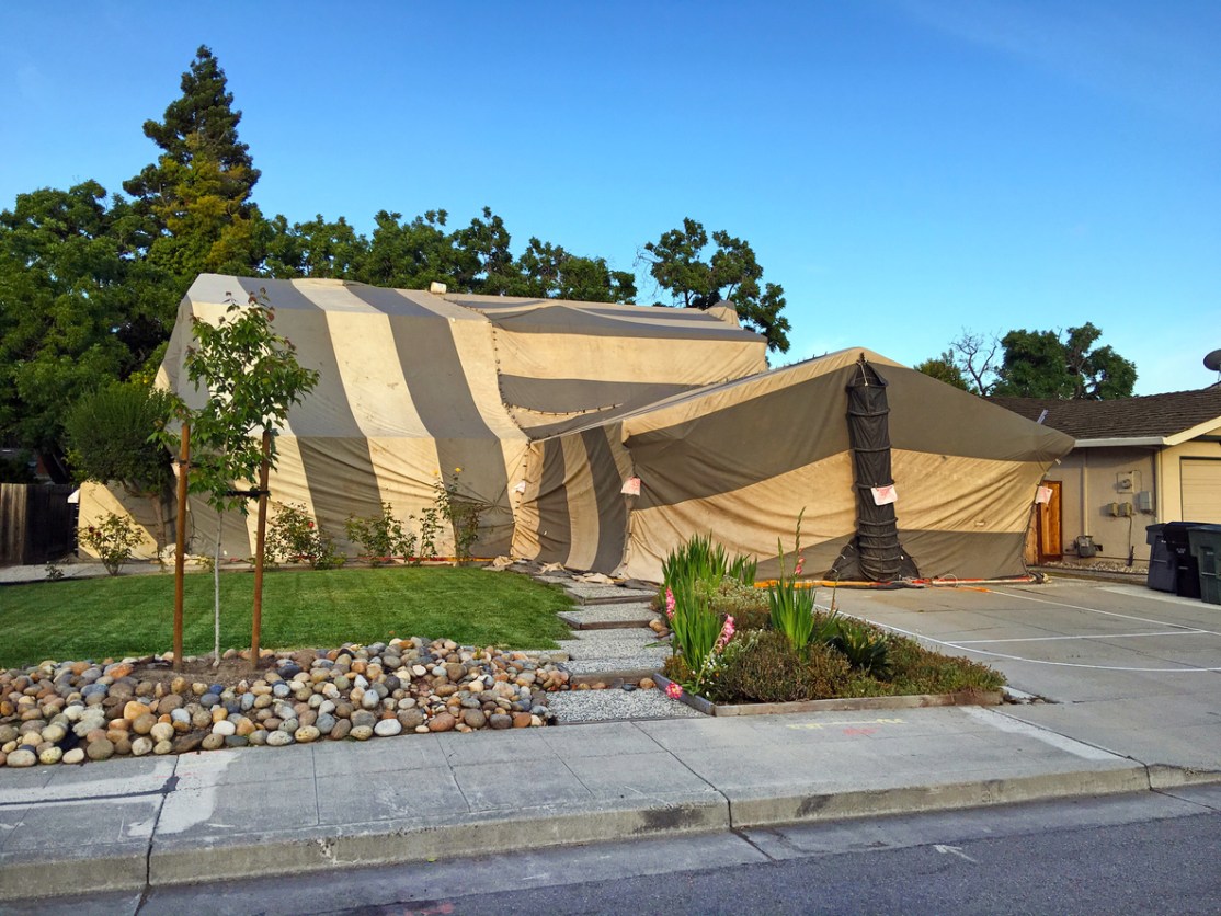 This is What a Tented House Means - Bob Vila