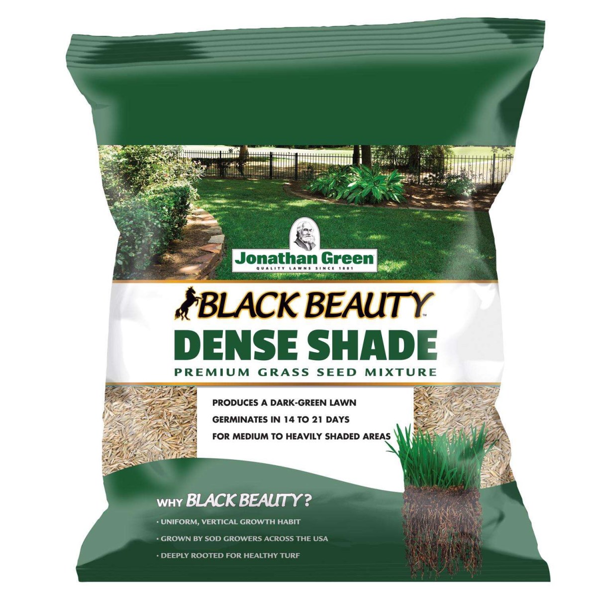 The Best Grass Seed for Shade - Picks from Bob Vila
