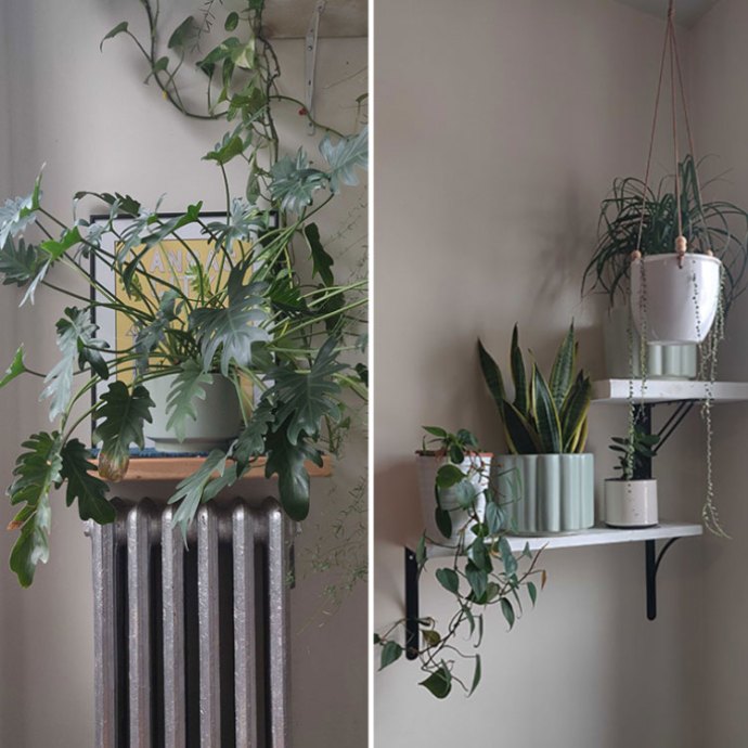 14 Plant Shelf Ideas to Liven Up Any Home - Bob Vila