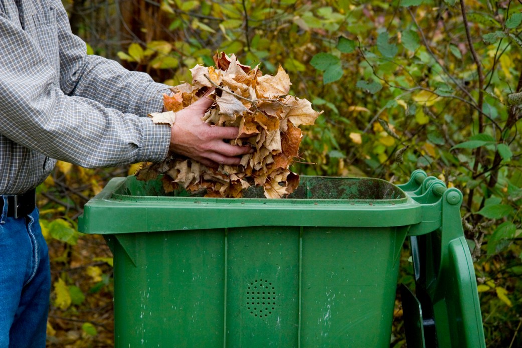 What is Leaf Mold and How to Use It in Your Home Landscape - Bob Vila