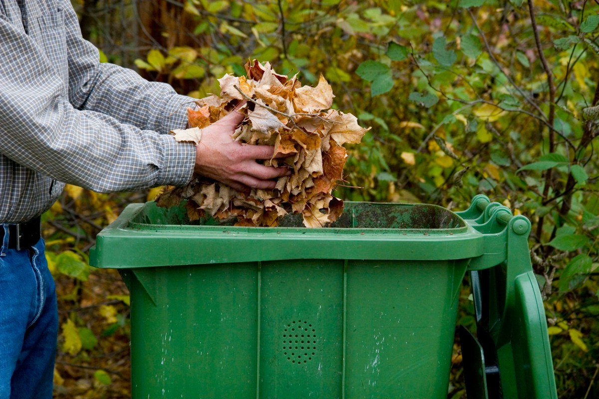What is Leaf Mold and How to Use It in Your Home Landscape - Bob Vila