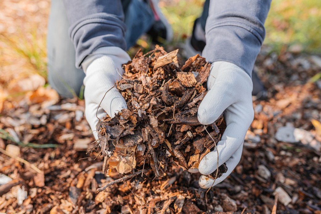 What is Leaf Mold and How to Use It in Your Home Landscape - Bob Vila