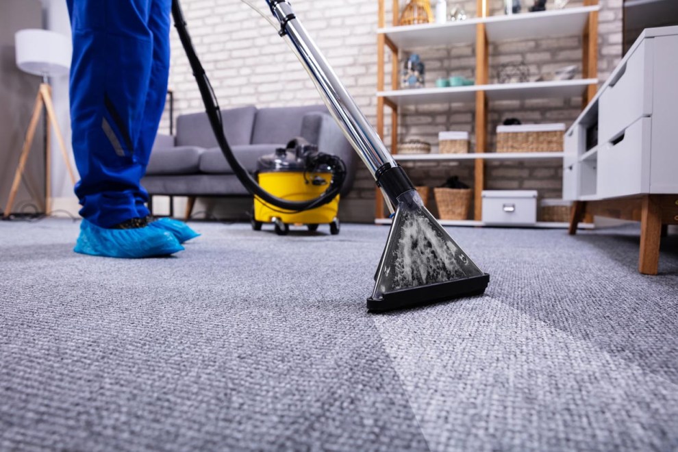 3 of the Best Carpet Cleaner Rental Services in America, Vetted