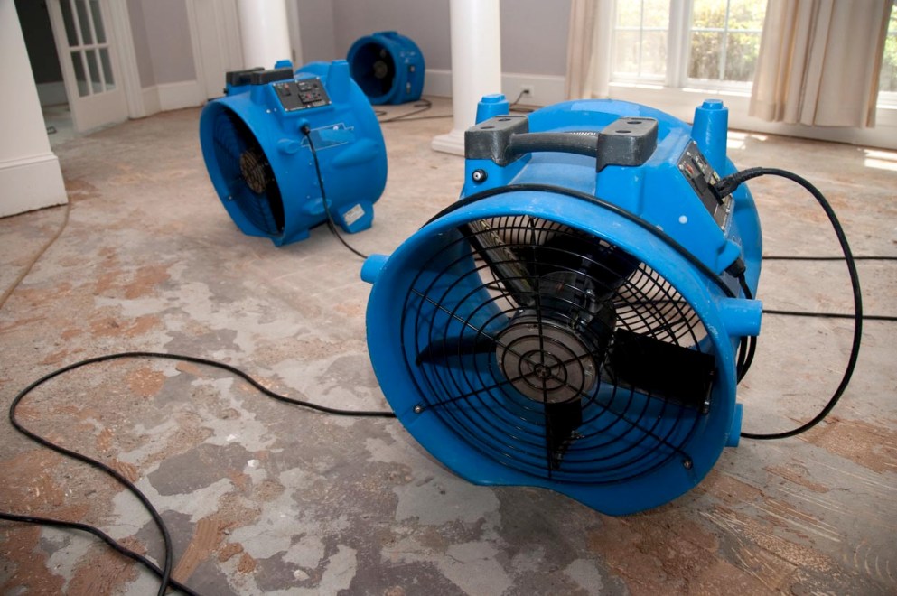 The Best Water Damage Restoration Services - Bob Vila
