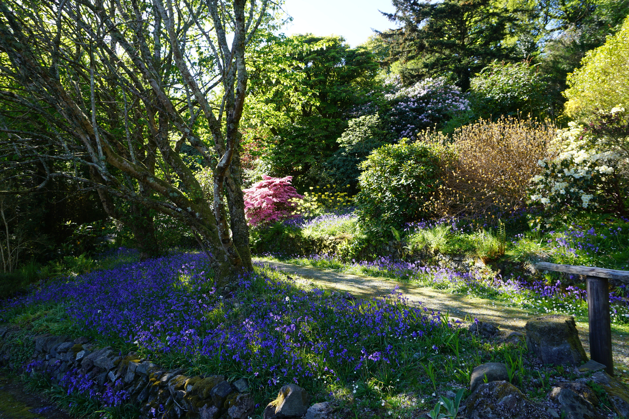 Woodland Garden Tips: How to Create One at Home - Bob Vila