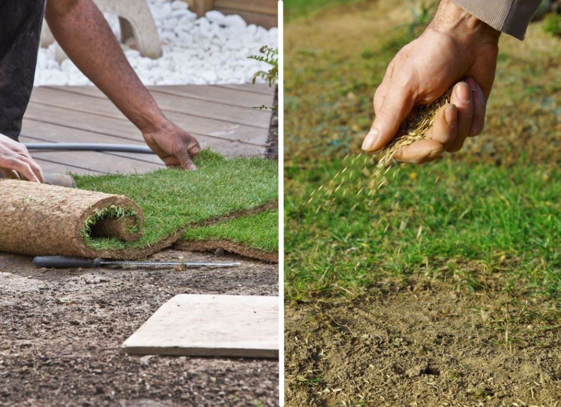 Sod vs. Seed: What’s the Best Way to Get a Lush Lawn? - Bob Vila