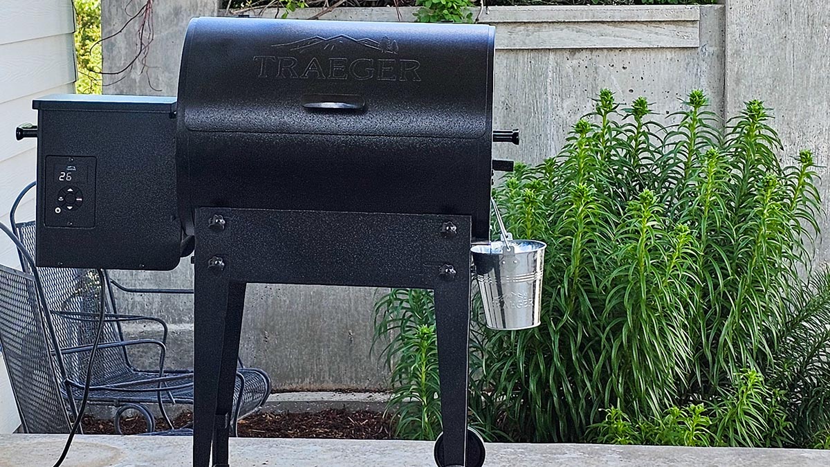 The Best Traeger Grills for Smoking and Grilling, Tested