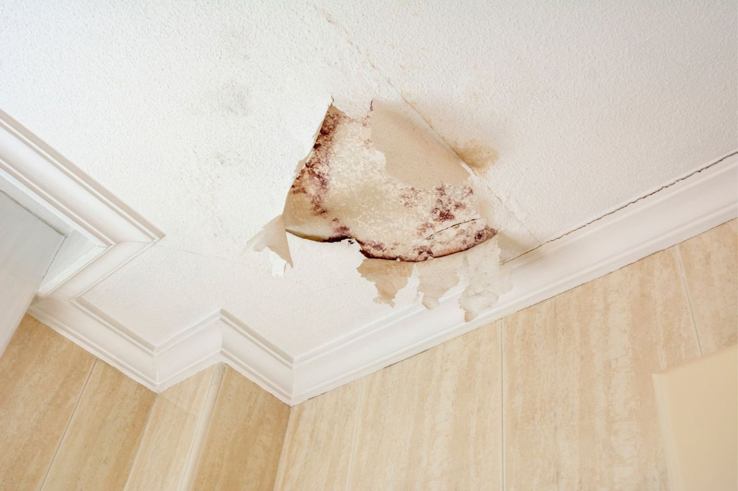 Solved! Here's Who to Call for a Water Leak in the Ceiling - Bob Vila