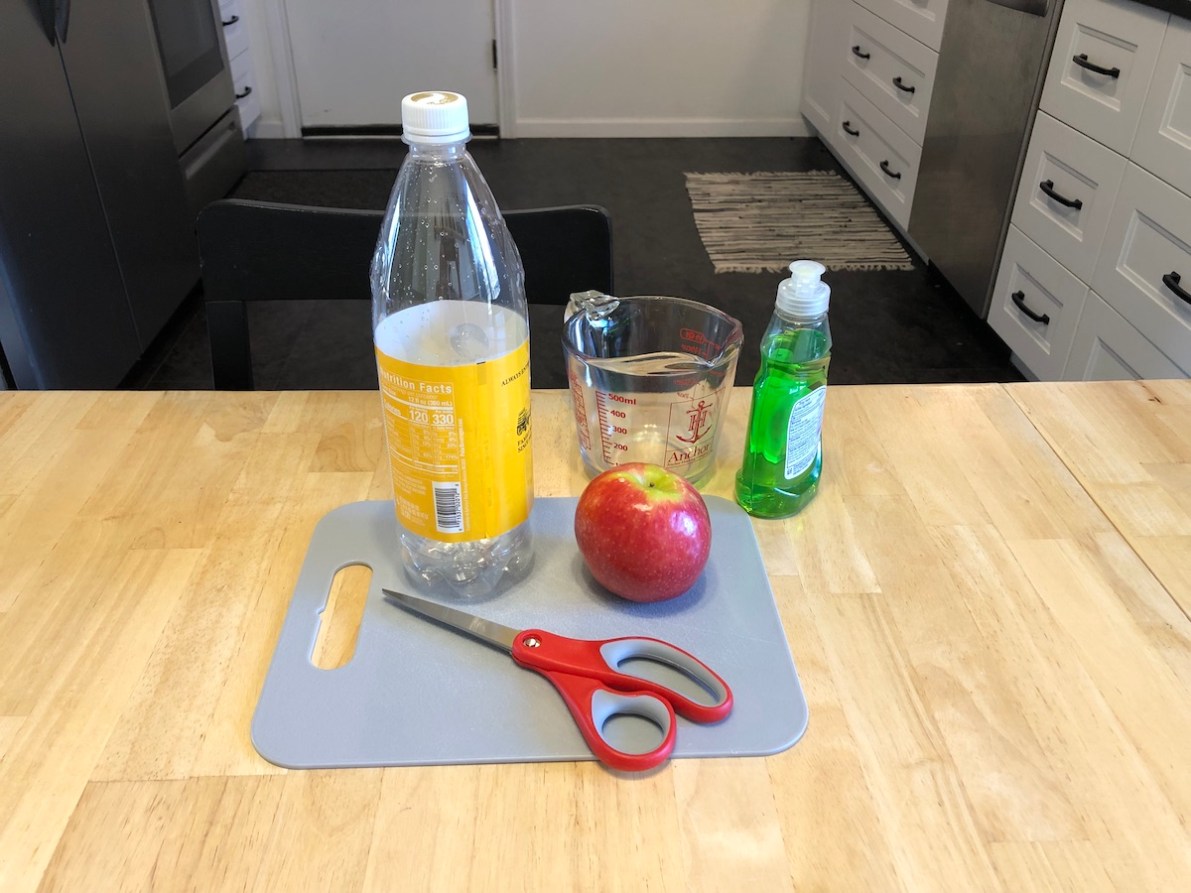 How to Make a DIY Fly Trap - Bob Vila