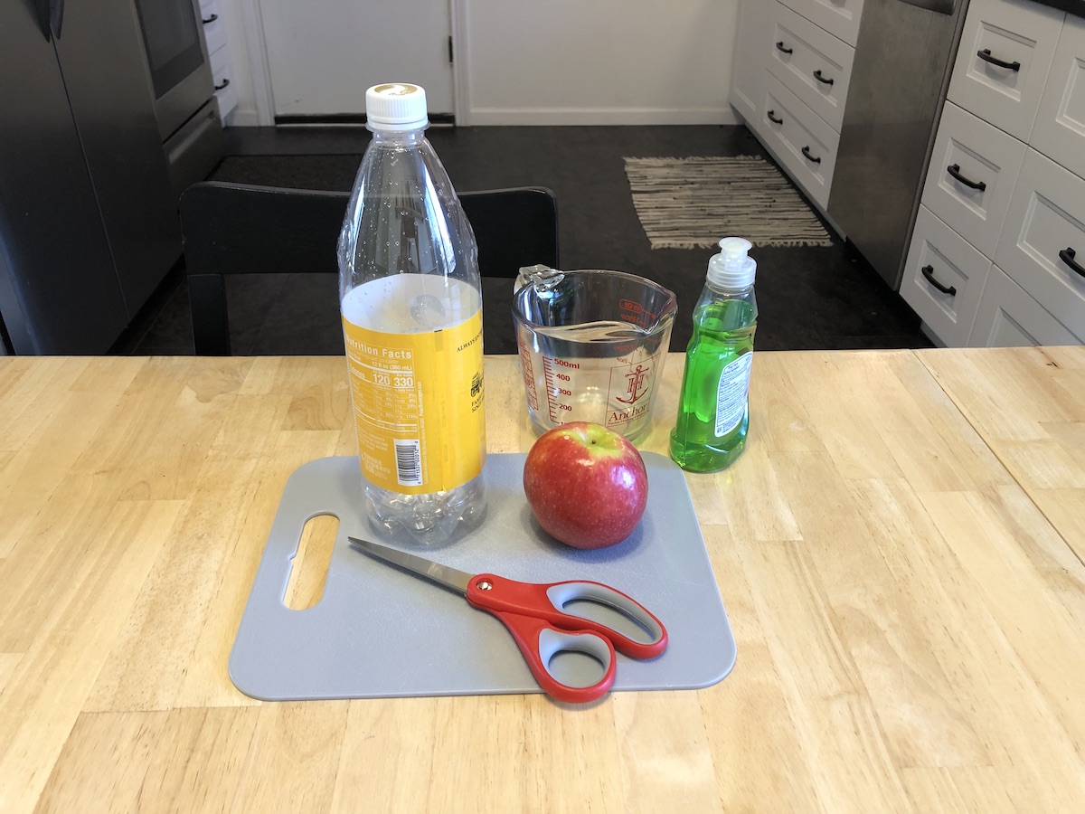 How to Make a DIY Fly Trap - Bob Vila