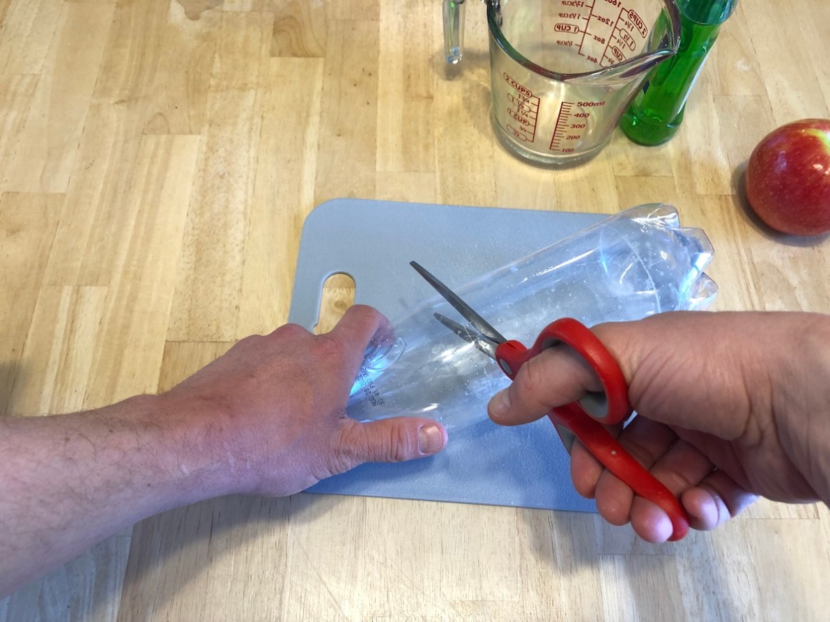 How to Make a DIY Fly Trap - Bob Vila