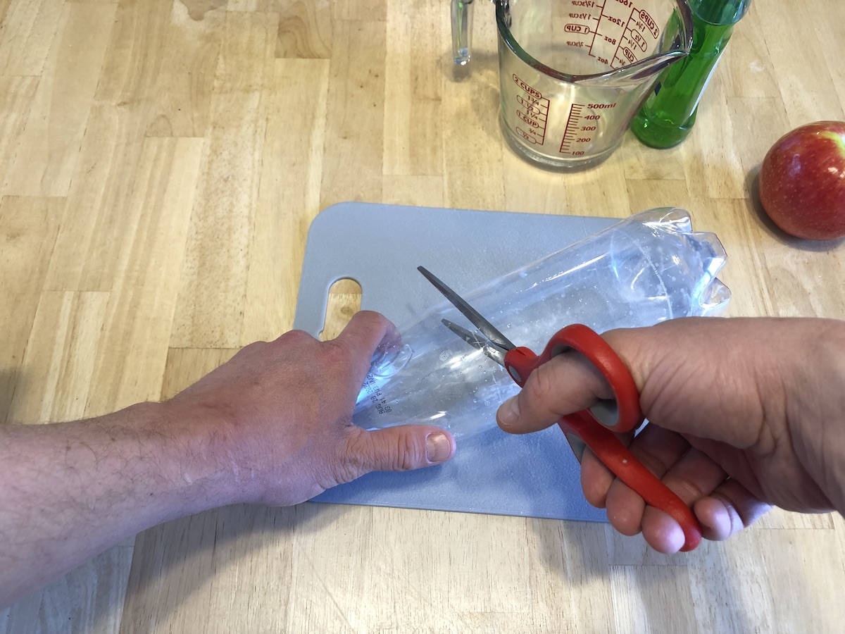 How to Make a DIY Fly Trap - Bob Vila