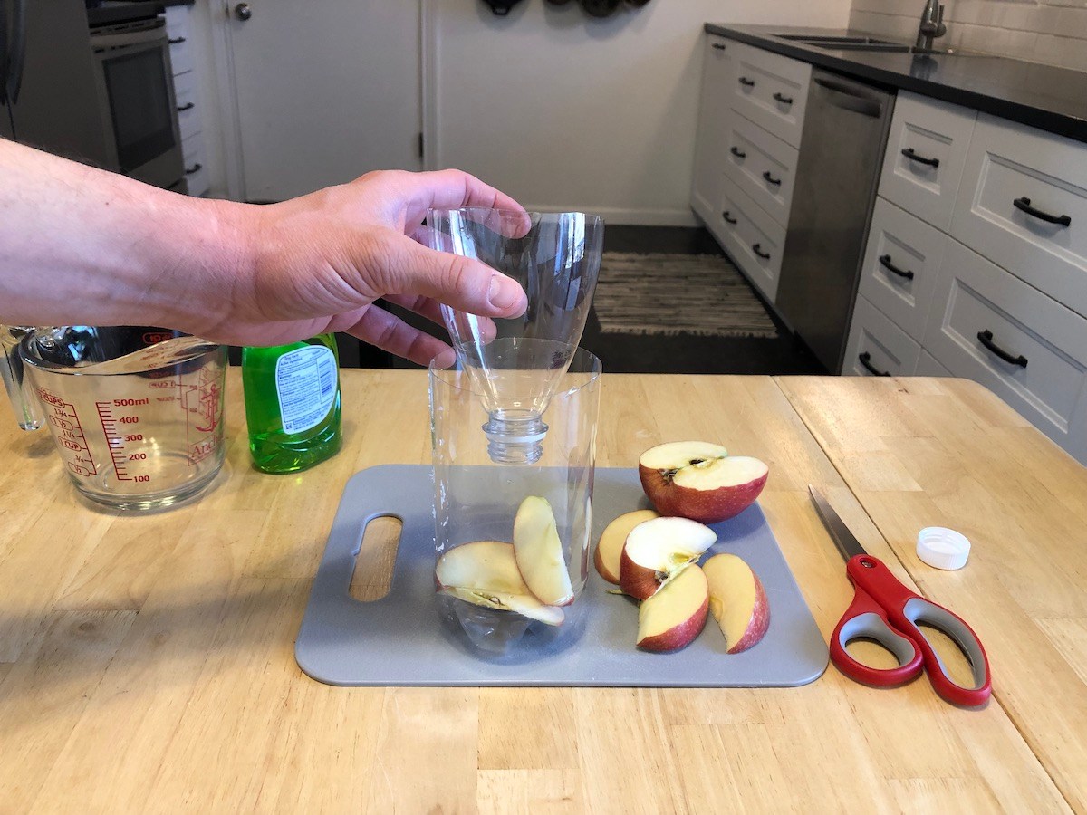 How to Make a DIY Fly Trap - Bob Vila