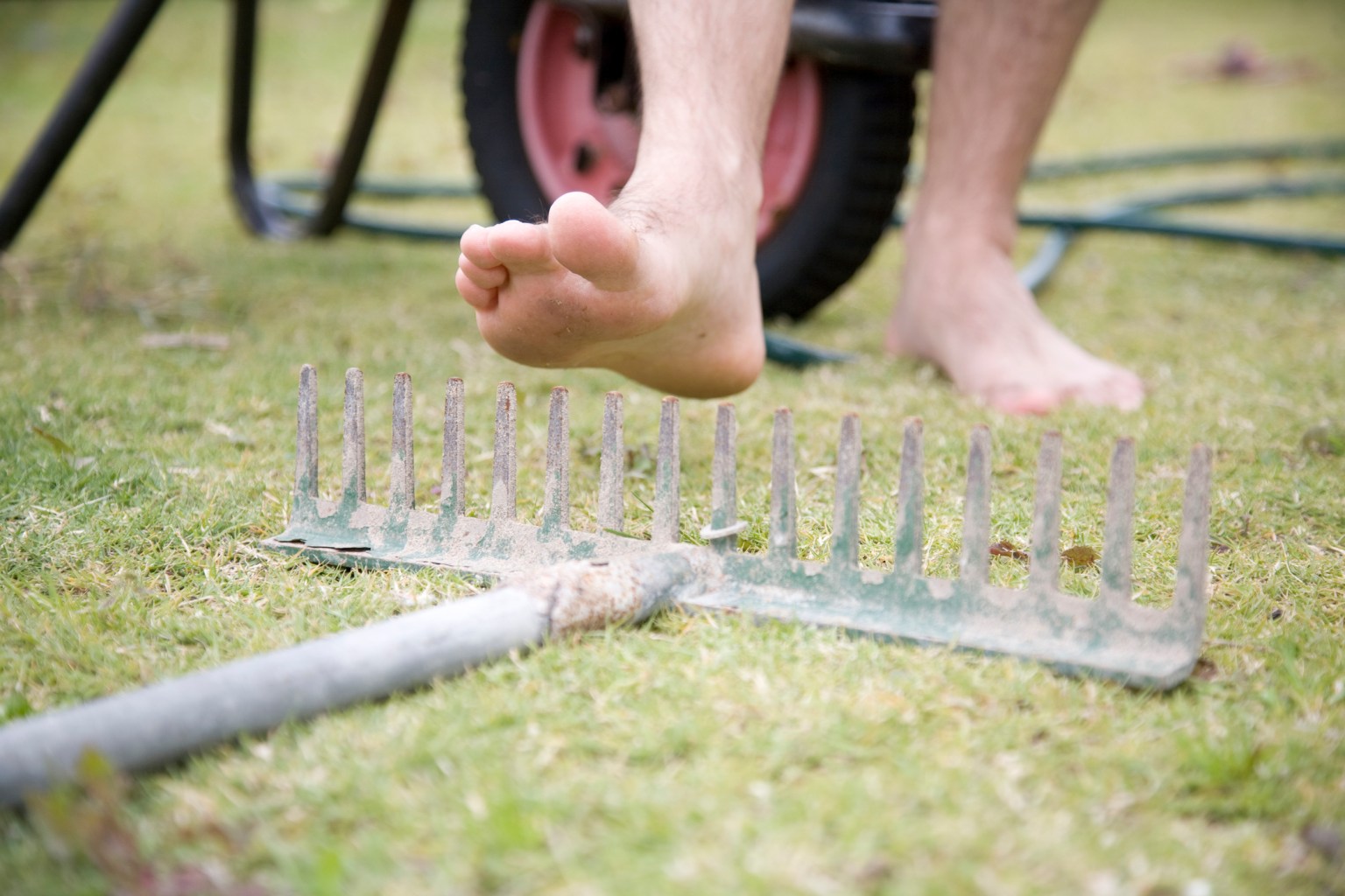 10 Ways Gardening May Be Making You Sick - Bob Vila