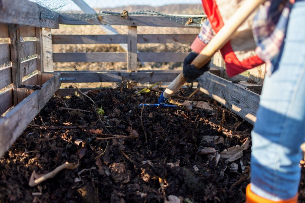 Want a Bountiful Summer Garden? Do These 3 Things to Your Soil Now