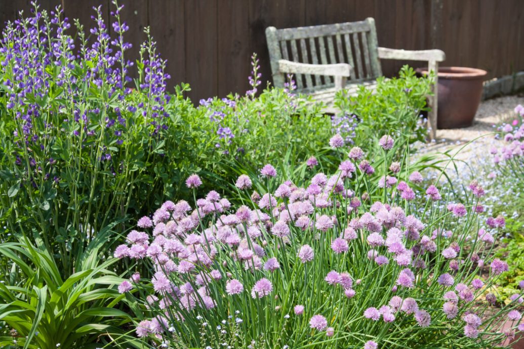 11 Fragrant Plants to Grow for the Ultimate Aromatherapy Garden - Bob Vila