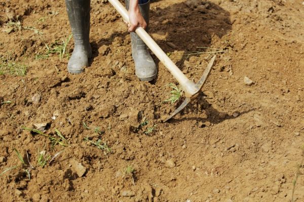 The Best Pickaxes - Picks from Bob Vila