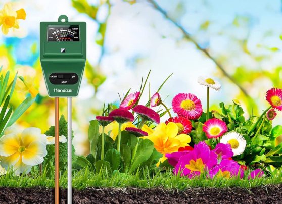 15 Essentials for Beginner Plant Parents: What Every New Plant Owner Needs