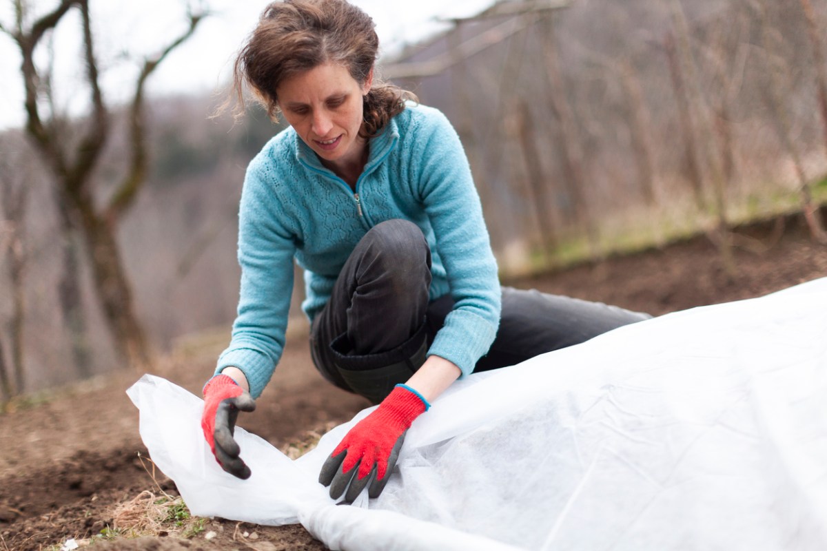 8 Planting Mistakes That Can Ruin a Garden Before it Even Gets Going ...