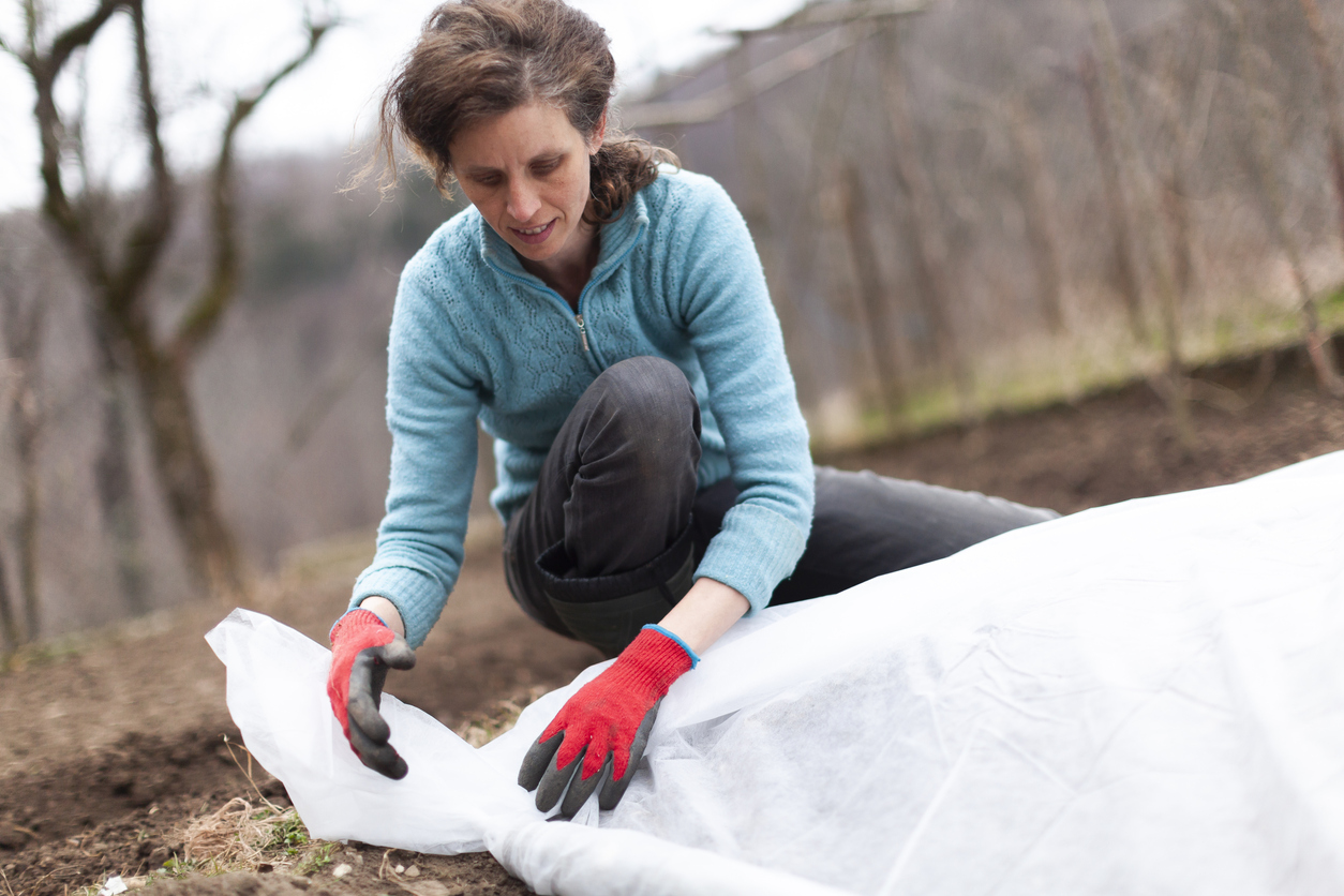 8 Planting Mistakes That Can Ruin a Garden Before it Even Gets Going ...