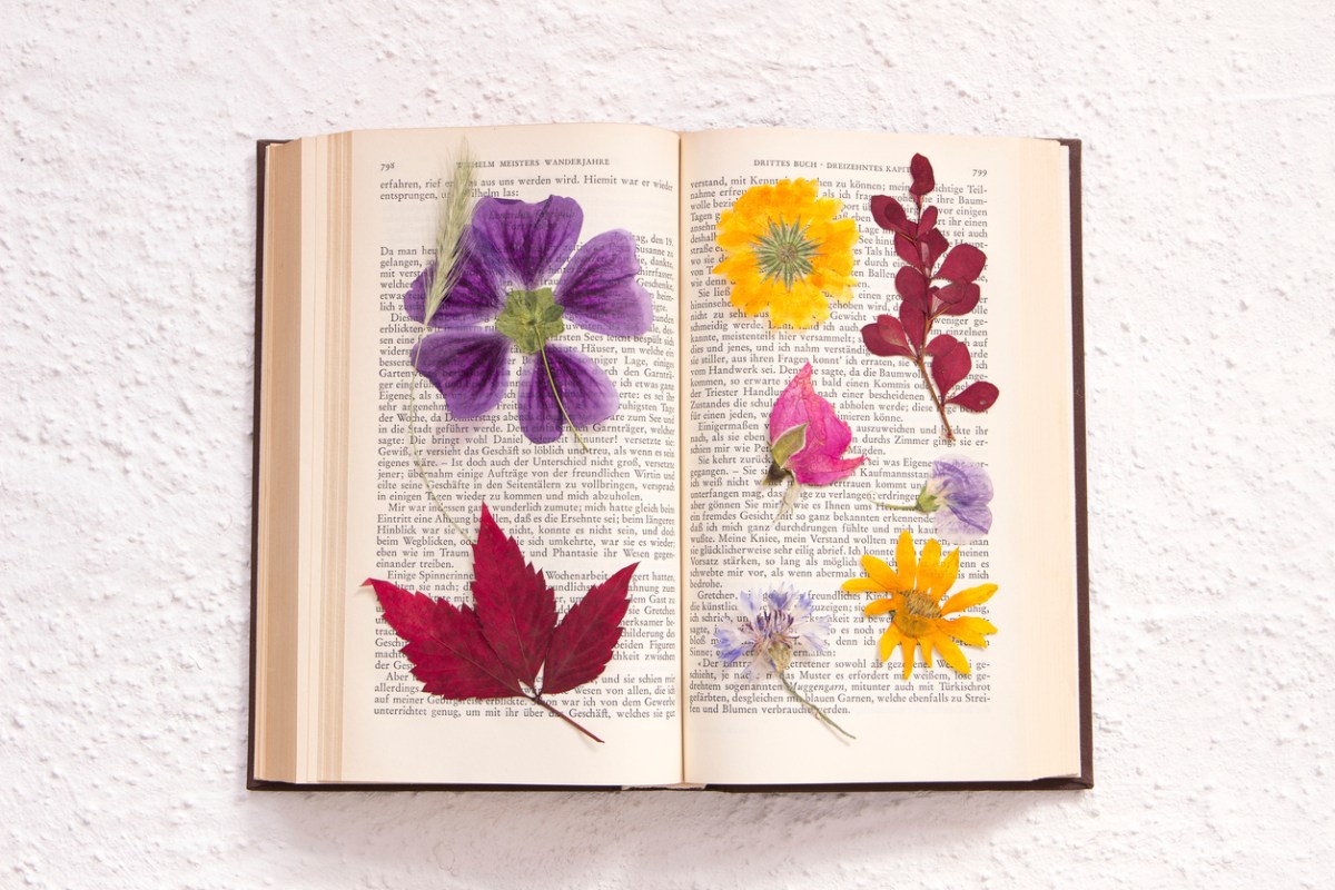 How to Dry Flowers: 5 Easy DIY Methods - Bob Vila
