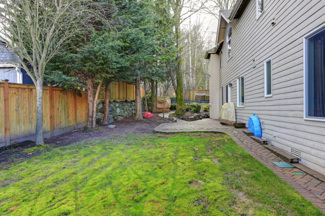 14 Side Yard Ideas That'll Help You Make the Most of Your Whole Property
