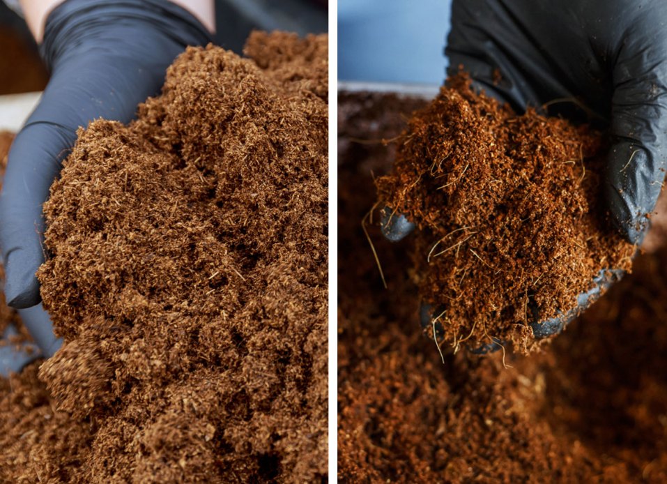 Peat Moss vs. Coco Coir: What’s the Difference? - Bob Vila