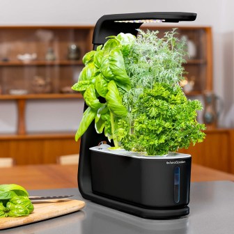 11 Things You Didn’t Know Could Grow in an AeroGarden - Bob Vila