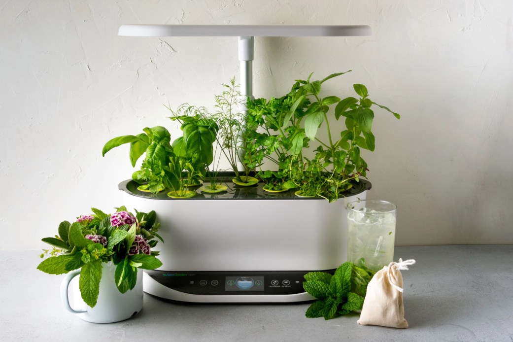 11 Things You Didn’t Know Could Grow in an AeroGarden - Bob Vila