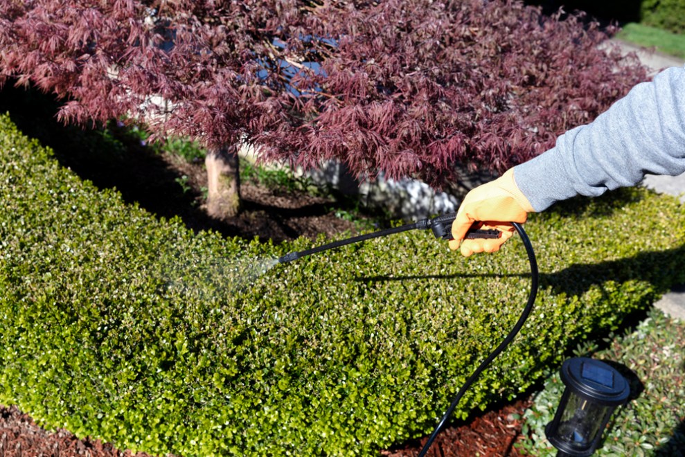 The Best Lawn Fungicides - Picks by Bob Vila