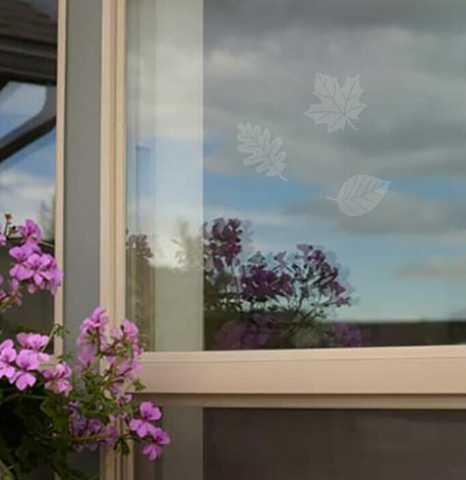How to Make Your Windows Bird-Safe: 11 Smart Solutions - Bob Vila